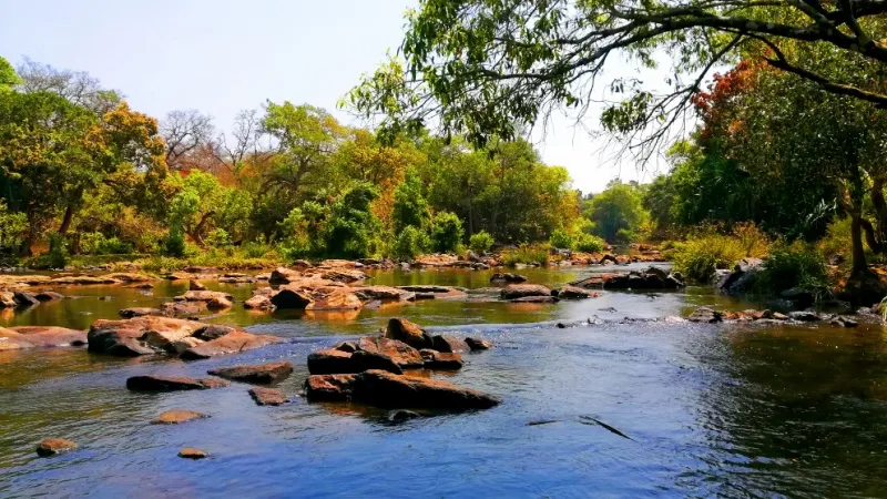 15 Famous Places to Visit in Wayanad in 2025 | Myholidays